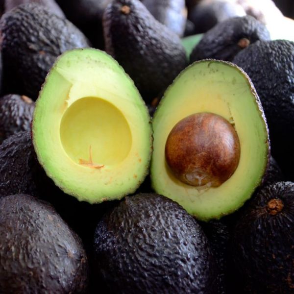 Paltas x 5 KILOS – Ali mente